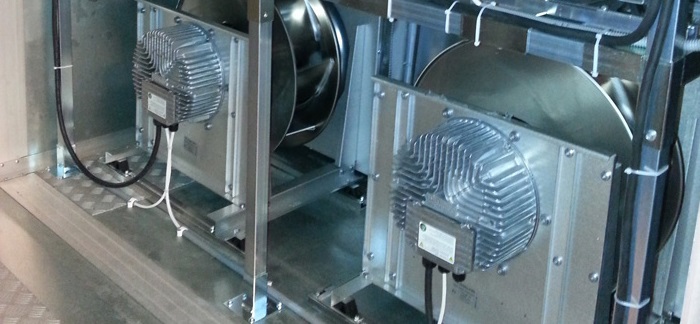 EC Fans – Why the Hype? | A.G. Coombs