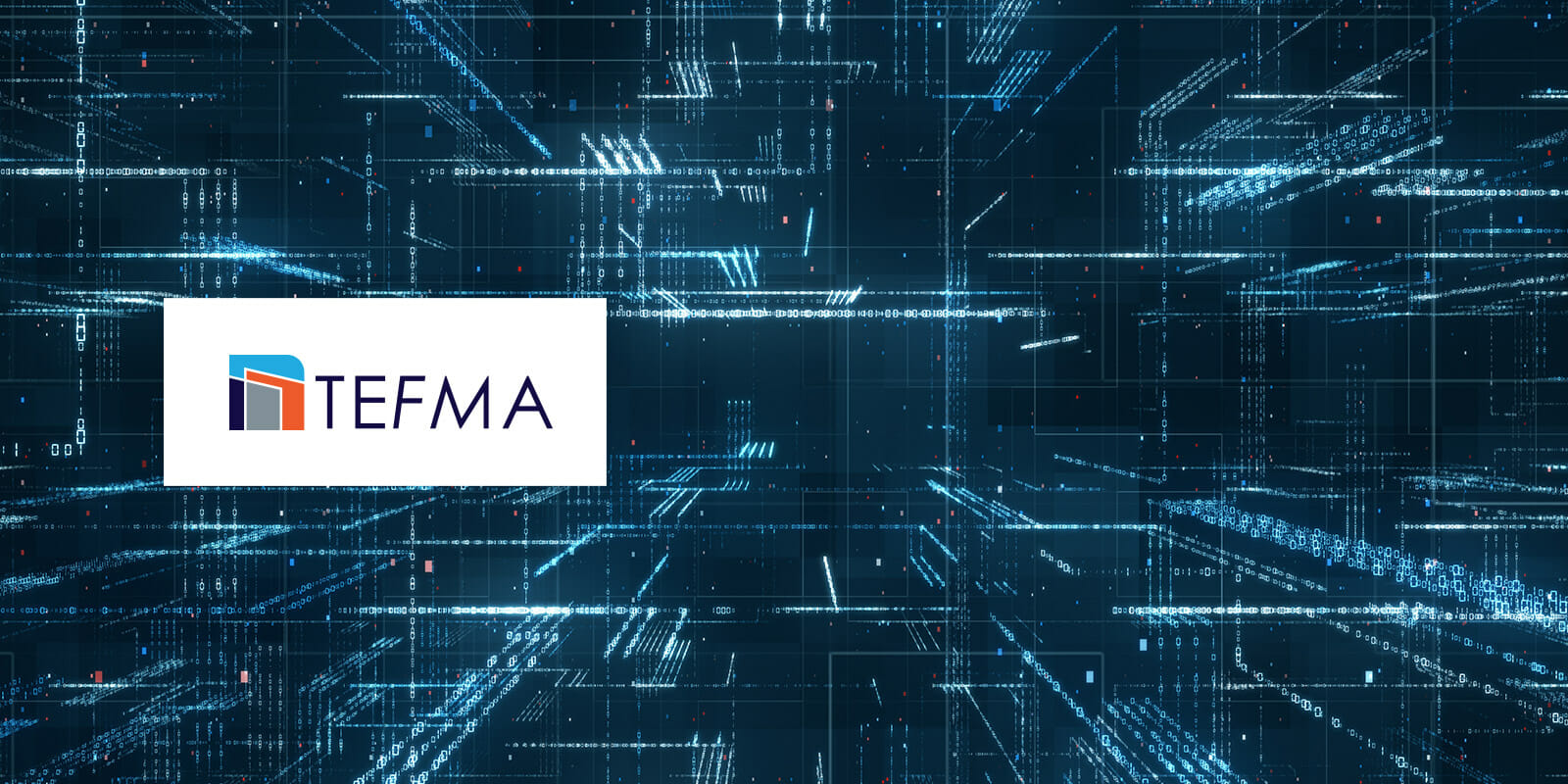 TEFMA Smarter Data Workshop | A.G. Coombs