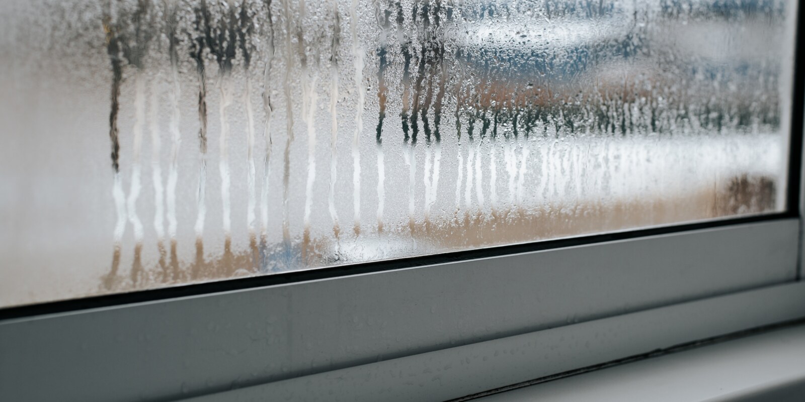 Combating High Humidity in Commercial Buildings | A.G. Coombs